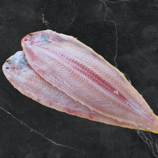 Magere vissoorten | Nino Seafood